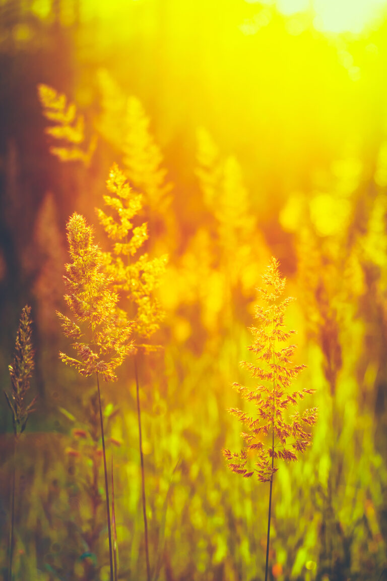 On Christian Teaching by Dr. David Ian Smith