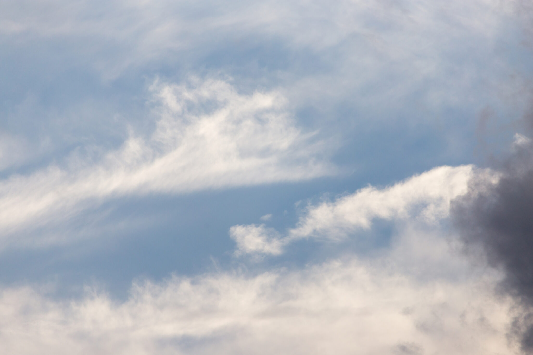 Dr. David Ian Smith - Professor / Calvin University/ Kuyers Institute