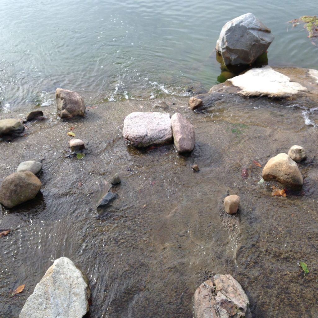 Japanese Autumn - Debra Rienstra