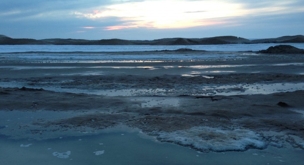 Advent in the Twilight - Debra Rienstra