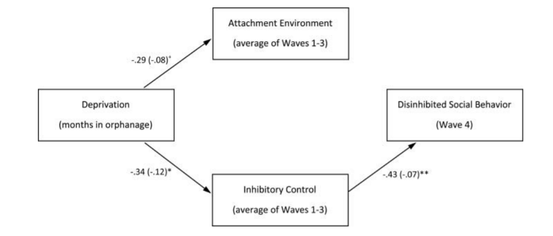 Are Disinhibited Social Behaviors Among Internationally Adopted ...