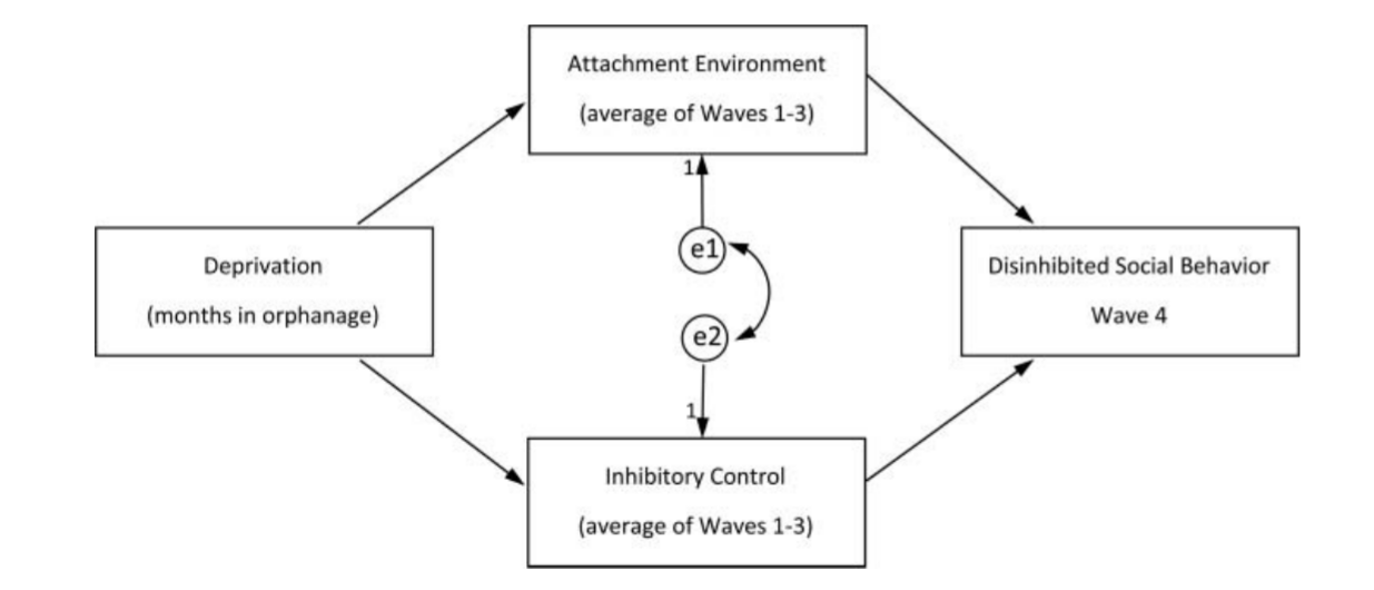 Are Disinhibited Social Behaviors Among Internationally Adopted ...