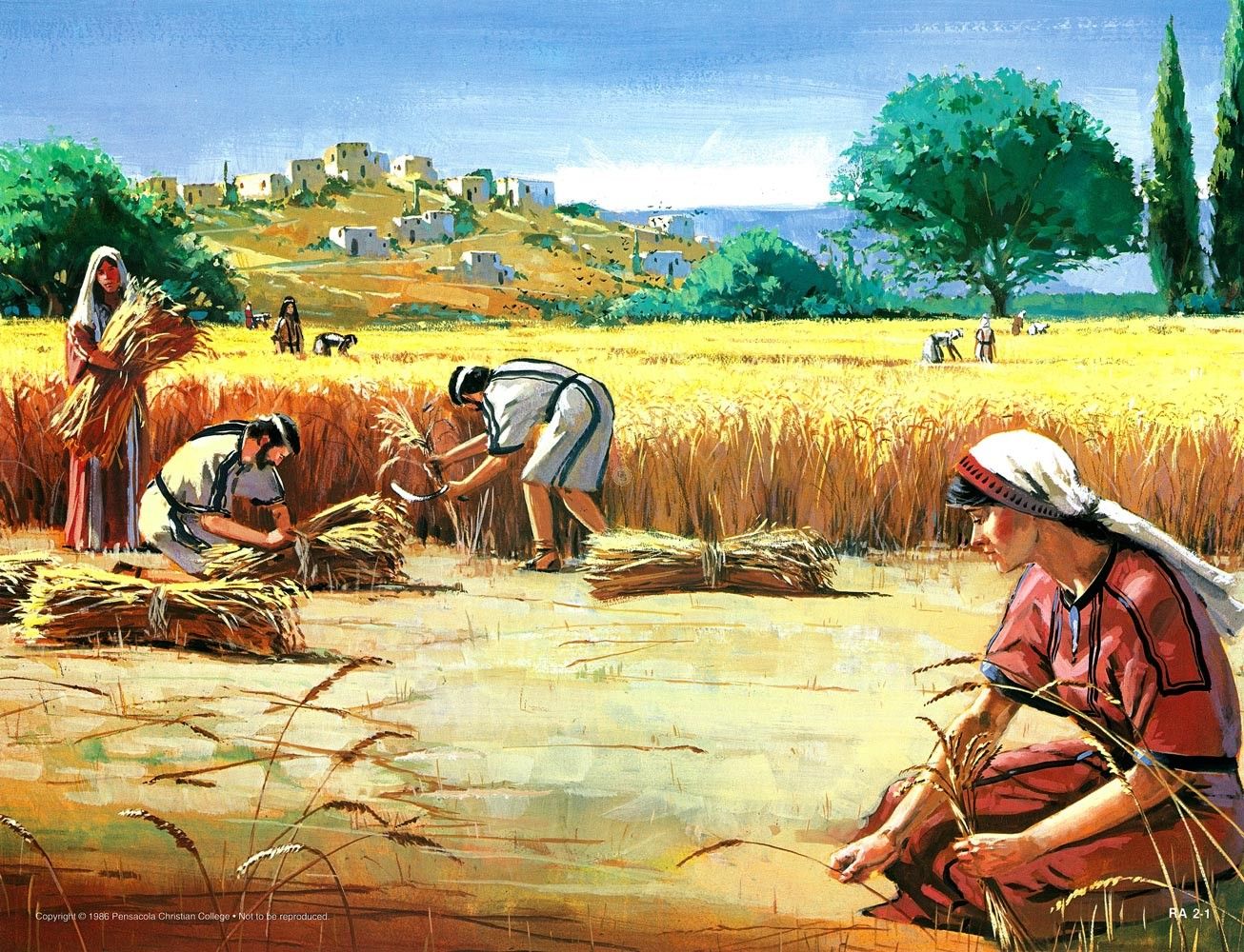 Bitterness and Blessing – Ruth 1 - Justin Ariel Bailey